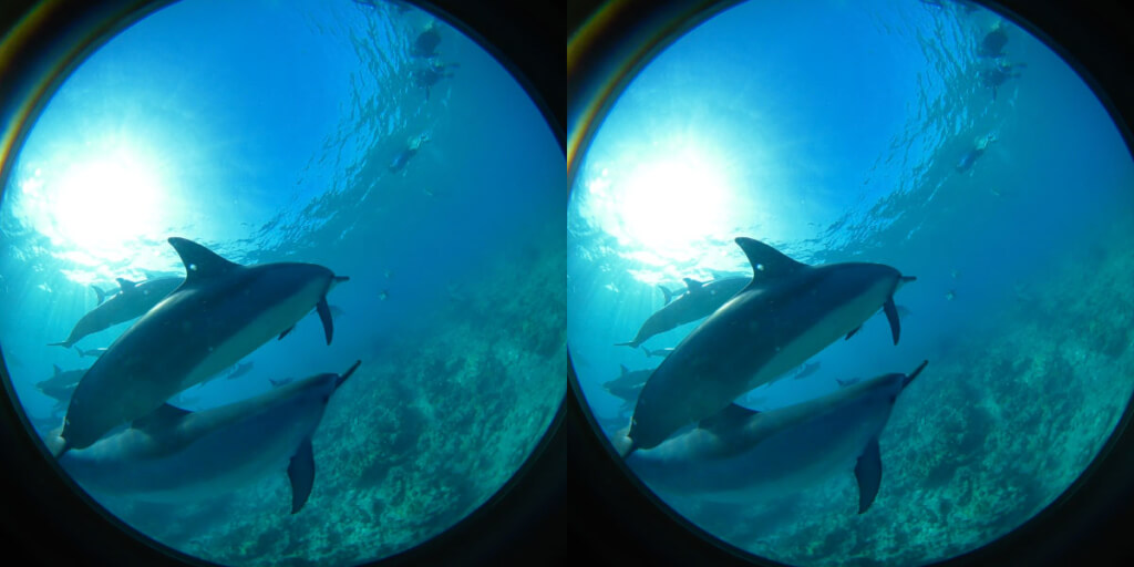 InstaVR supports 180-Degree VR, Compatible With YouTube's VR180 | InstaVR